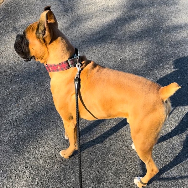 Add an Extra Mini D Ring for Dog Tags - 0.5 Inch Small Ring Sewn Into ...