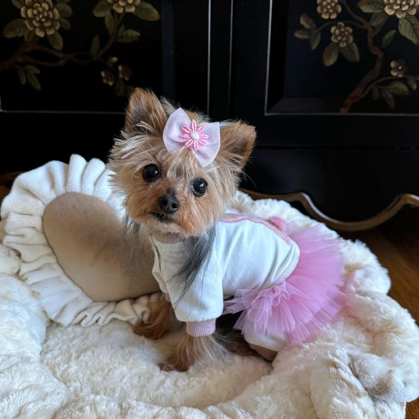 Dog Jumpsuit, Cute Yorkie Girl Outfit, Designer Small Dog Clothes ...