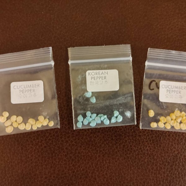 한국 고추 Seeds(15) Korean Pepper Seeds - Etsy