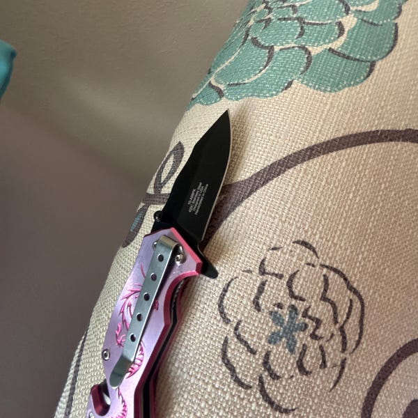 6” Pink Dragon Mini Cute Knife Spring Assisted Open Blade Folding ...