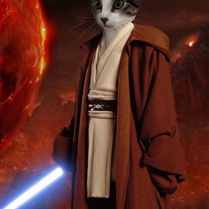 Custom Kylo Ren Pet Portrait . Star Wars Pet Portrait . Custom - Etsy