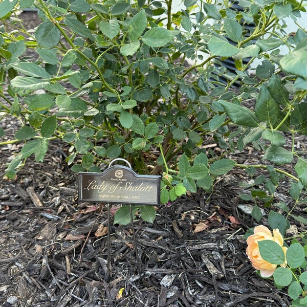 Custom New Employee Welcome Swag Kit Branded Gift Team Gift Employee ...