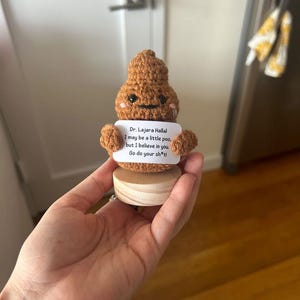 Emotional Support Pickle & Positive Poo Pattern Bundle,us Terms ...