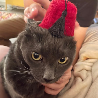 Marine Captain Mini Hat Cat Captain Hat Original Design - Etsy