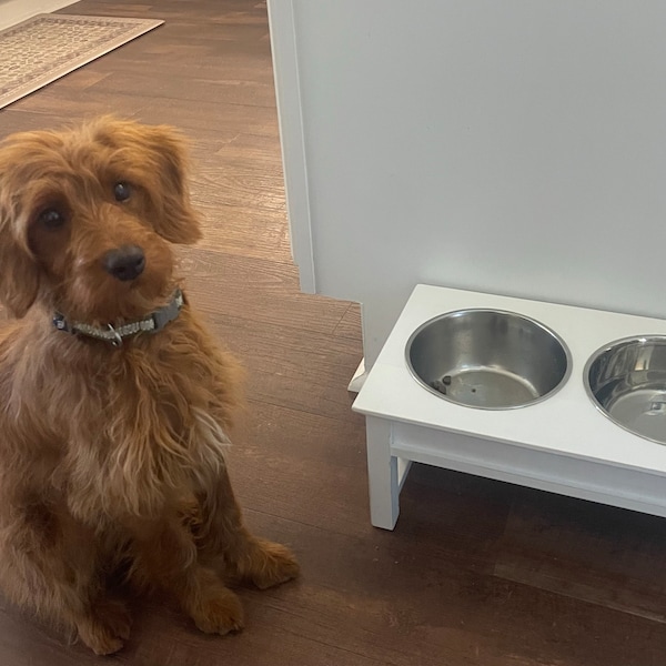 Farmhouse Chic Dog or Cat Elevated Pet Feeder HUMAN GRADE Stainless ...