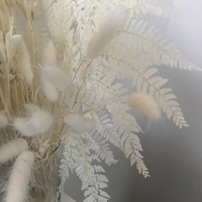 Bunny Tails White Lagurus 15g Dried Flower White Floral Arrangement ...