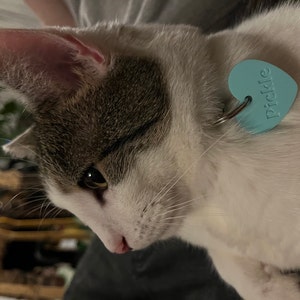 Engraved Acrylic Custom Pet ID Tags, Dog Cat Name Disc, Personalised ...