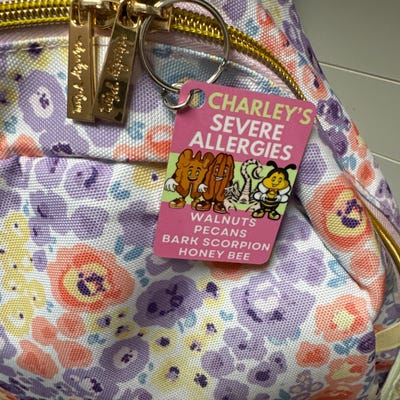 Custom Food Allergy Stickers for Lunch Boxes Labels School Children ...