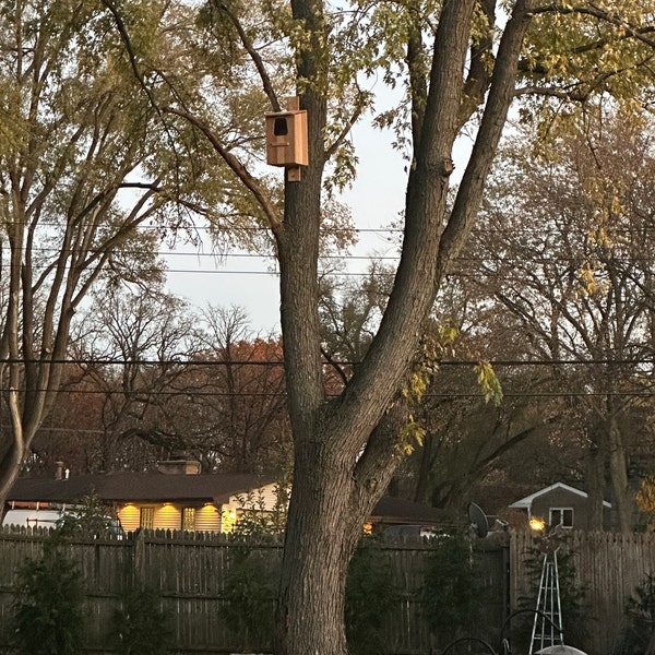 Petterson Style Blue Bird Boxes (2 Boxes) - Etsy