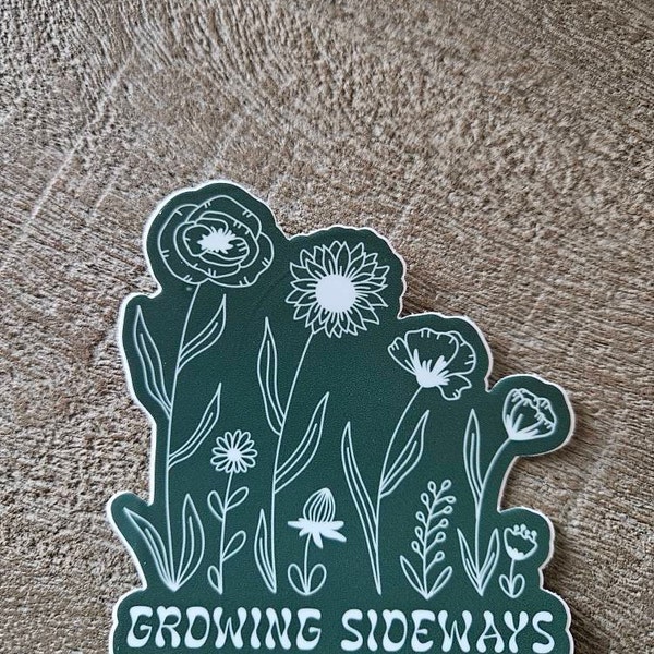 Orange Show Speedway Lizzy Mcalpine Sticker, Lizzy Mcalpine Merch ...