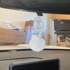 Coastal Cowgirl Rear View Mirror Car Accessory L Coastal Cowboy Rear ...