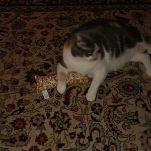 Popcorn Kicker Cat Toy, Catnip Toy, Carnival Popcorn, Movie Theatre ...