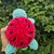 Pattern 3 in 1 Crochet Fruit Turtle PDF Download No Sew Amigurumi ...