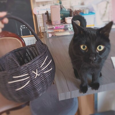 Rattan Apple House Fairy House Apple Wonderweaver Design Handmade - Etsy