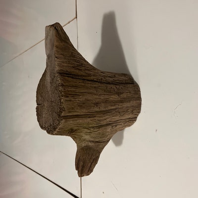 The Amazing Alien Cedar Driftwood Roots, Unfinished Wood Weathered ...