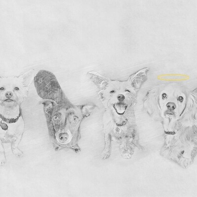 Custom Multiple Pet Portrait From Multiple Photos Dog - Etsy