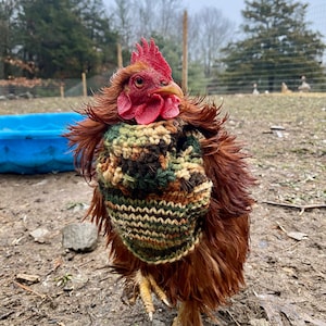 Knit Chicken Sweaters medium Weight Hen Clothing Poultry Accessories ...