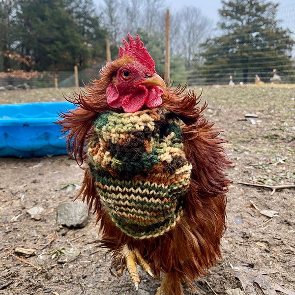 Knit Chicken Sweaters (medium Weight) - Hen Clothing - Poultry ...