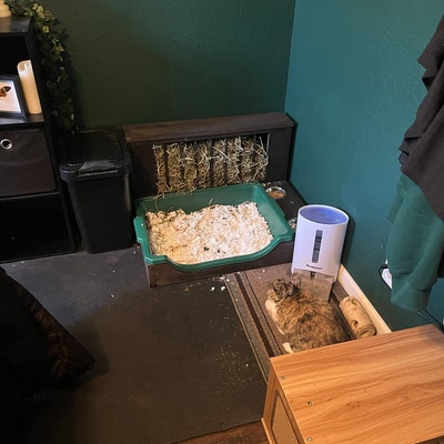 Cardboard Craft Tubes Choose Your Amount Thick Sturdy - Etsy