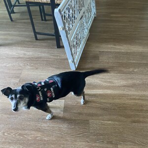 Preppy Pink Small Dog Ruffle Harness Made in USA Dog | Etsy