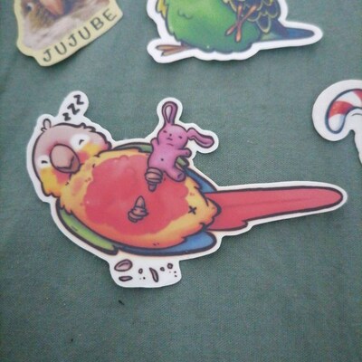 Sun Conure Sticker Sheet Premium Matte Vinyl Sticker Parakeet Parrot ...