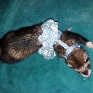 Ferret Harness Set With Leash Marble - Etsy