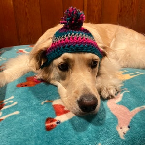 Crochet Rasta Striped Dog Hat with Pom Pom Warm Dog Hat Fur | Etsy