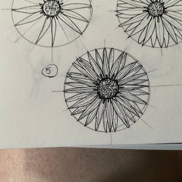 How to Draw Flowers, 25 Step-by-step Drawing Tutorials With Written ...