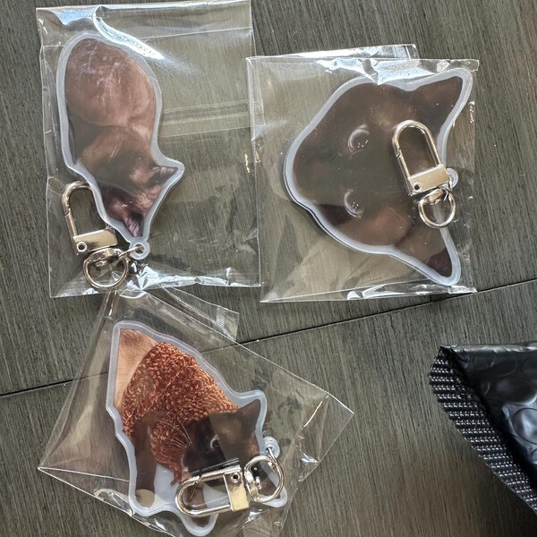 Custom Cat Keychain, Dog Keychain, Pet Keychain, Personalized Pet Photo ...