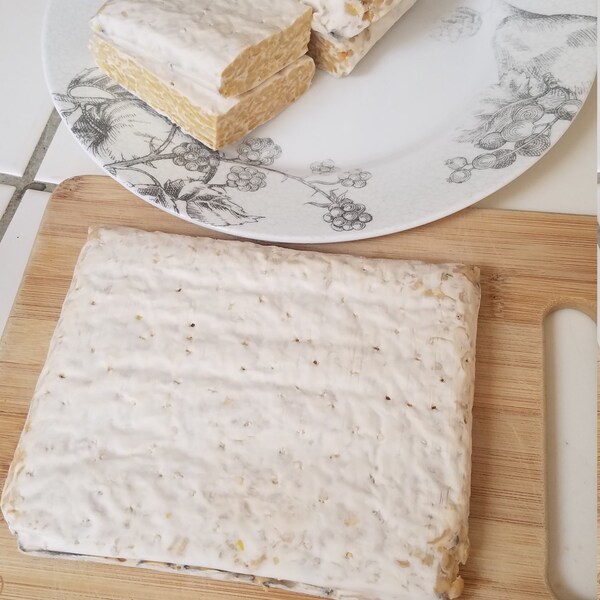 Soy-free Organic Tempeh Starter Culture - 100g, Rhizopus Oligosporus ...