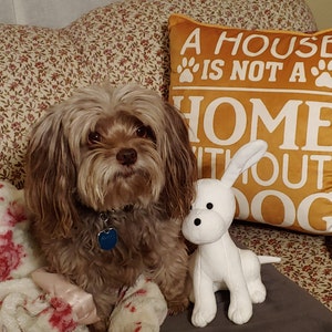 Chippy Snuggle Plush - Etsy