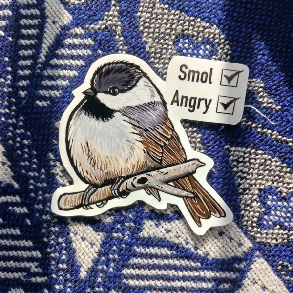 Smol and Angry Black Capped Chickadee Sticker - 4 Inch Glossy ...