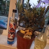 Mixed Alpine Plants - Vibrant Garden Perennial Large Flowering Rockery ...