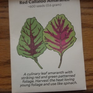 Red Callaloo Amaranth Seeds 600: Certified Organic, Non-gmo, Heirloom ...