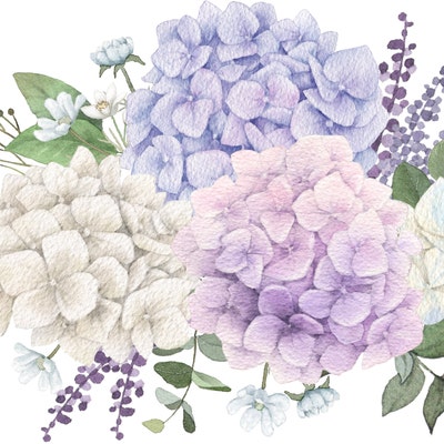 Watercolor Hydrangea Bouquet Clipart,floral Arrangement PNG - Etsy