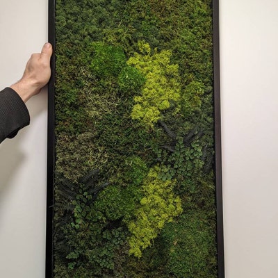 Unique Moss Wall Art Moss Wall Art Framed Black 36 X - Etsy