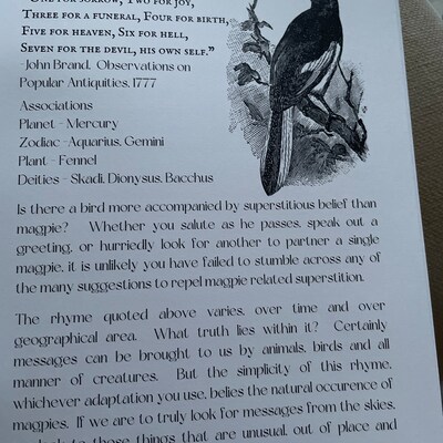 The Hedge Witch's Grimoire Magick and Rituals Celebrating December and ...