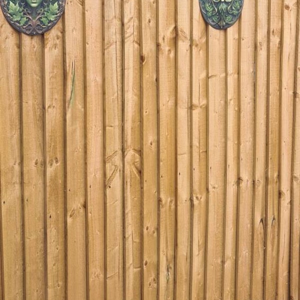 Green Woman Metal Sign, FLAT Printed Sign, Nature Lover's Wall Art ...