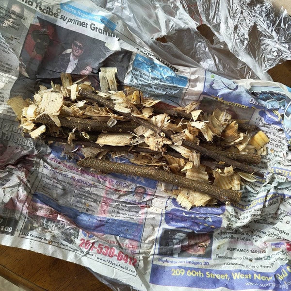 4 Cuttings of Che Seedless Fruit Tree, Dormant, No Roots, No Leaves - Etsy