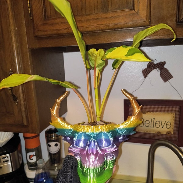 Demon Skull Planter With Horns, 3D Printed, Eco Friendly, Home and ...