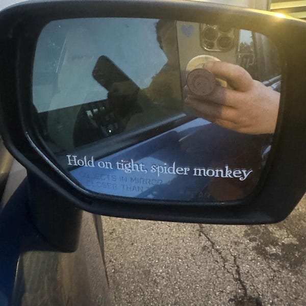 Hold on Tight, Spider Monkey - Twilight Visor Mirror Vinyl Decal - Etsy
