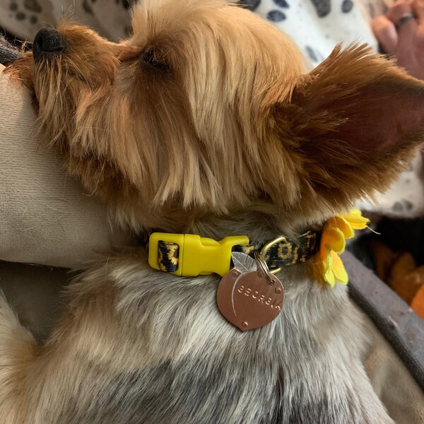 Peach Pet Tag - Etsy