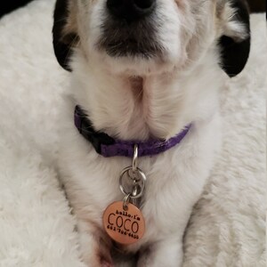 Dog Tag Hand Stamped Pet ID Tag Personalized Pet Tag | Etsy