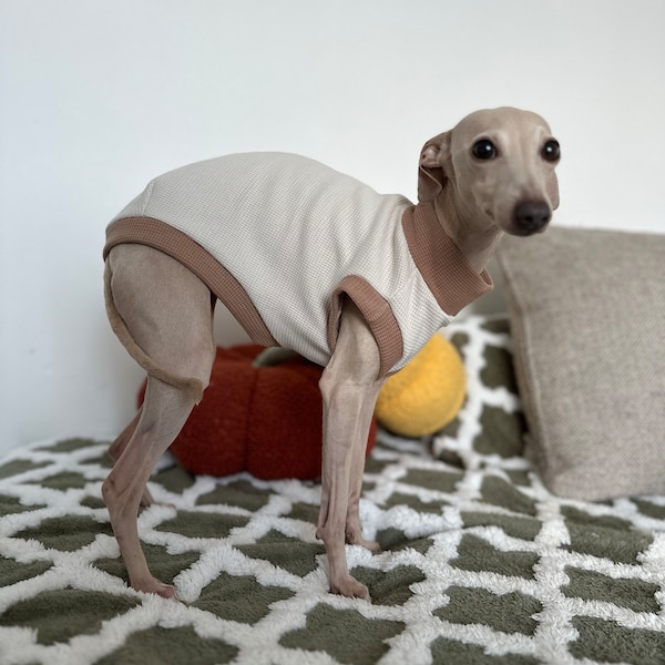 Sewing Pattern for Italian Greyhound Coat / Jacket / Waterproof ...