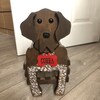 Black Labrador - Pet Planter - Dog Planter - Garden Planter - Birthday ...