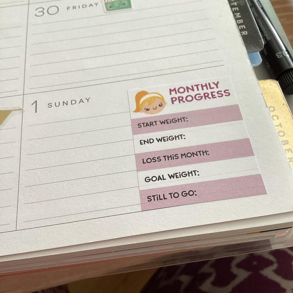 19 Cute Motivational Weight Loss/healthy Eating/diet Planner Stickers ...