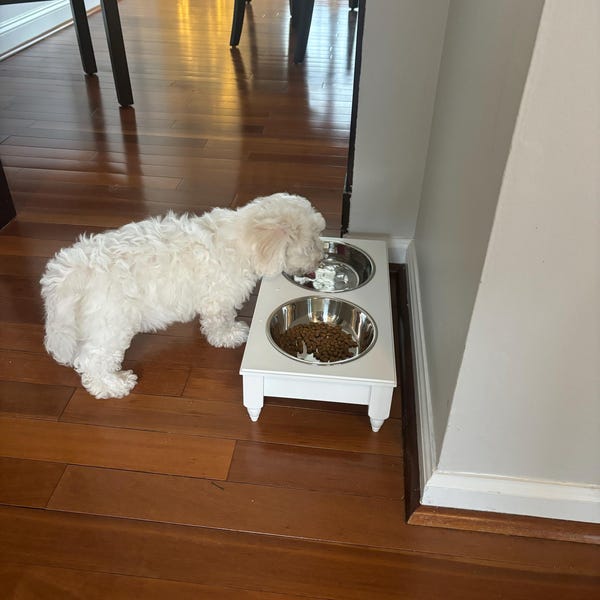 Farmhouse Chic Dog or Cat Elevated Pet Feeder | HUMAN GRADE Stainless ...