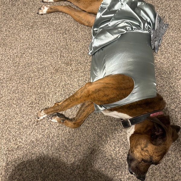 Wedding Dog Dress | Silver Sage Wedding | 11 Color Choices | Dog Flower ...