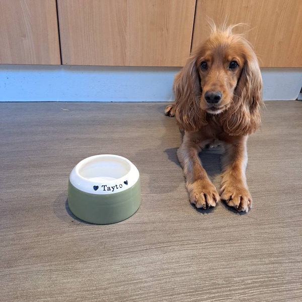 Personalised Cocker Spaniel Bowl: Handmade Ceramic Dog Dish, Ear-free ...