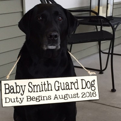 Pregnancy Announcement Dog Sign Expecting Baby Guard Photo Prop Include ...